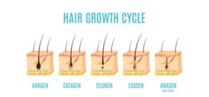 How to Pluck Hair So It Won't Grow Back After? - Ulike